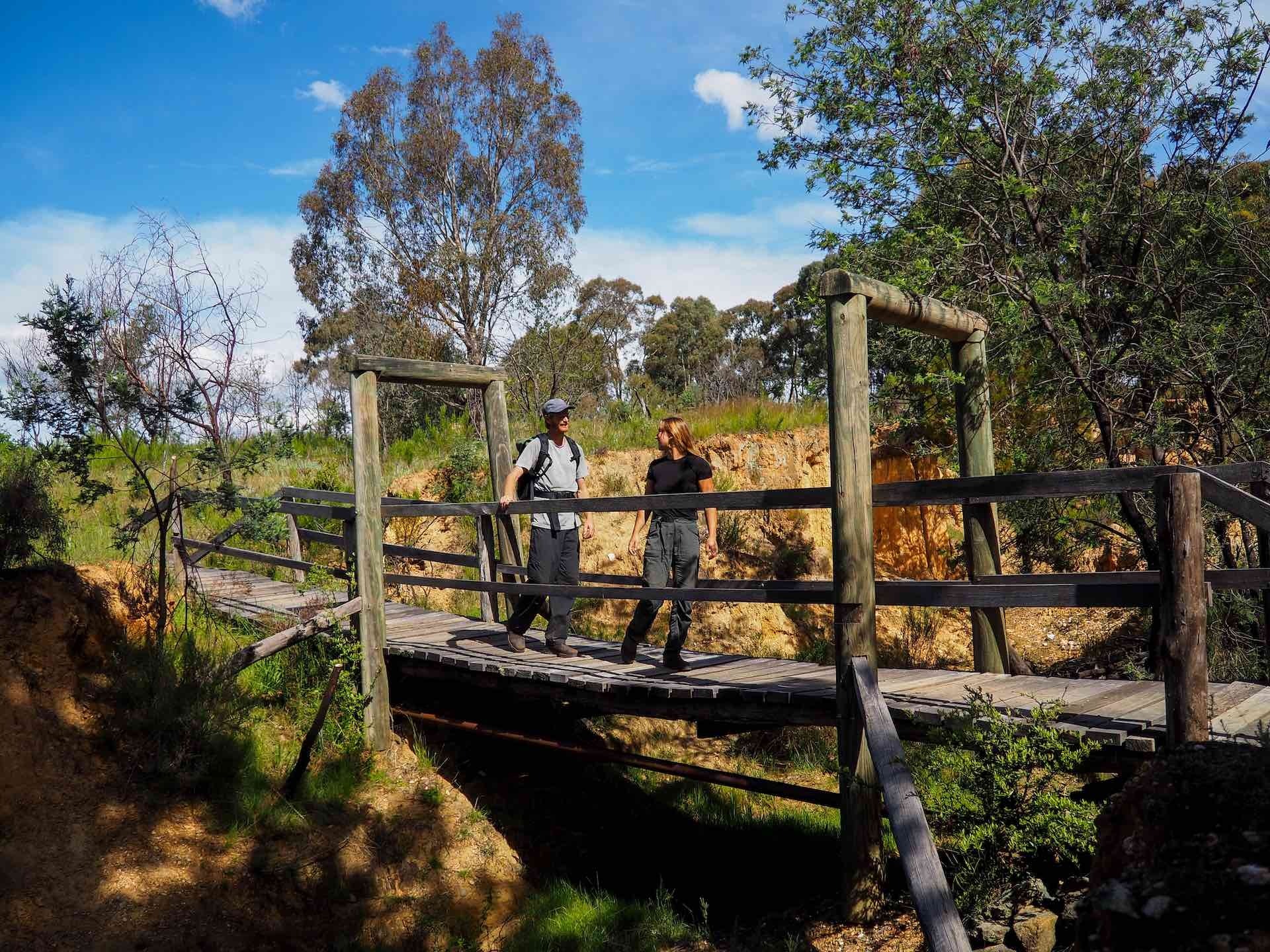 Bald Hill Walking Track Will Send You Back to the Gold Rush Era - We ...