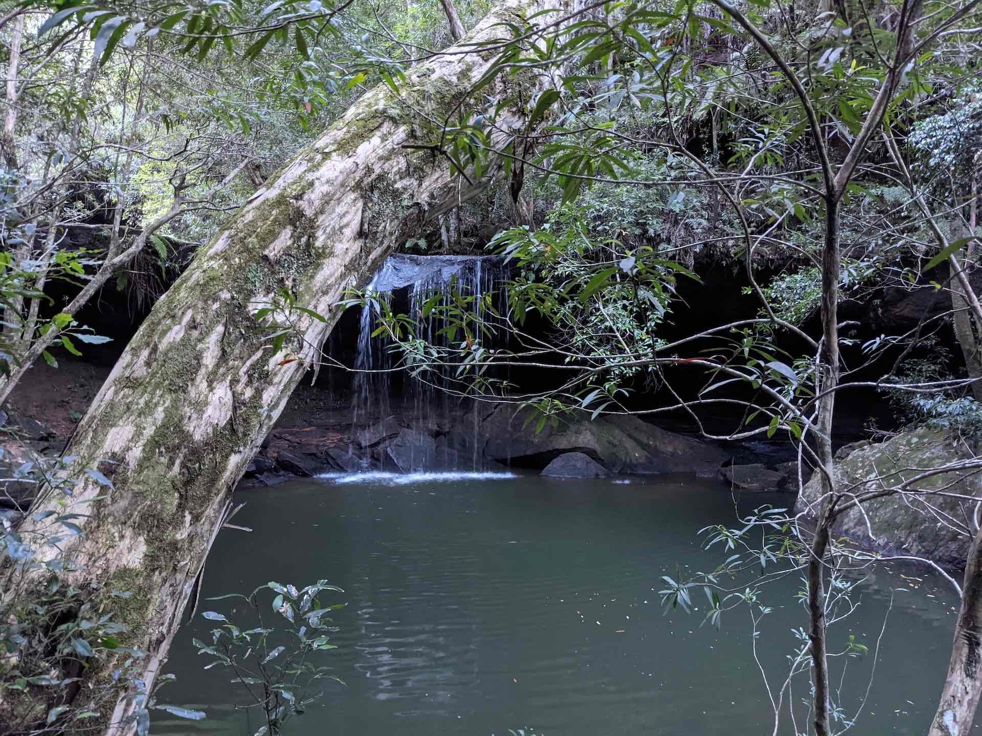 Springwood to Faulconbridge Overnight Hike – 3 Waterfalls in 10km - We ...