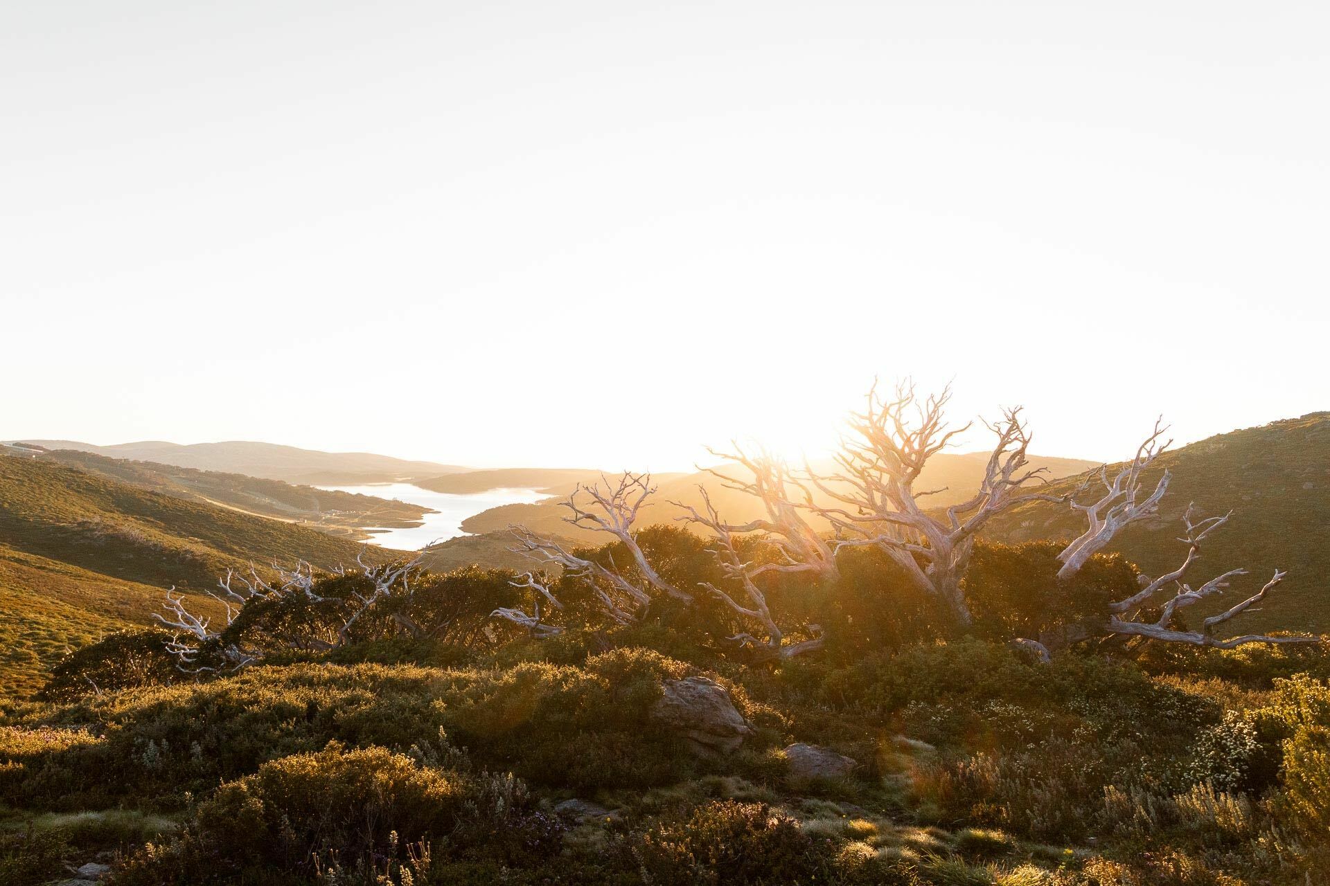 The Best Hikes in High Country Victoria 2025 - We Are Explorers