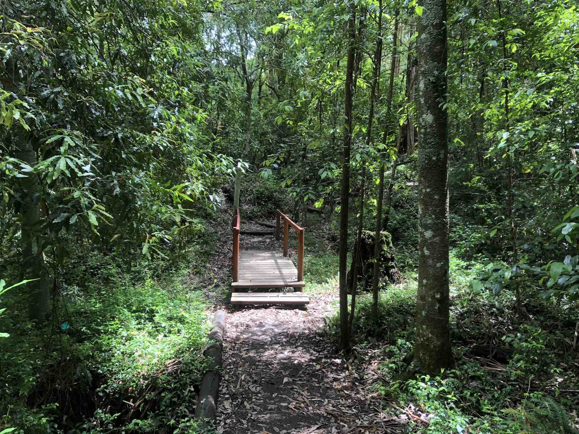 Cumberland State Forest - We Are Explorers