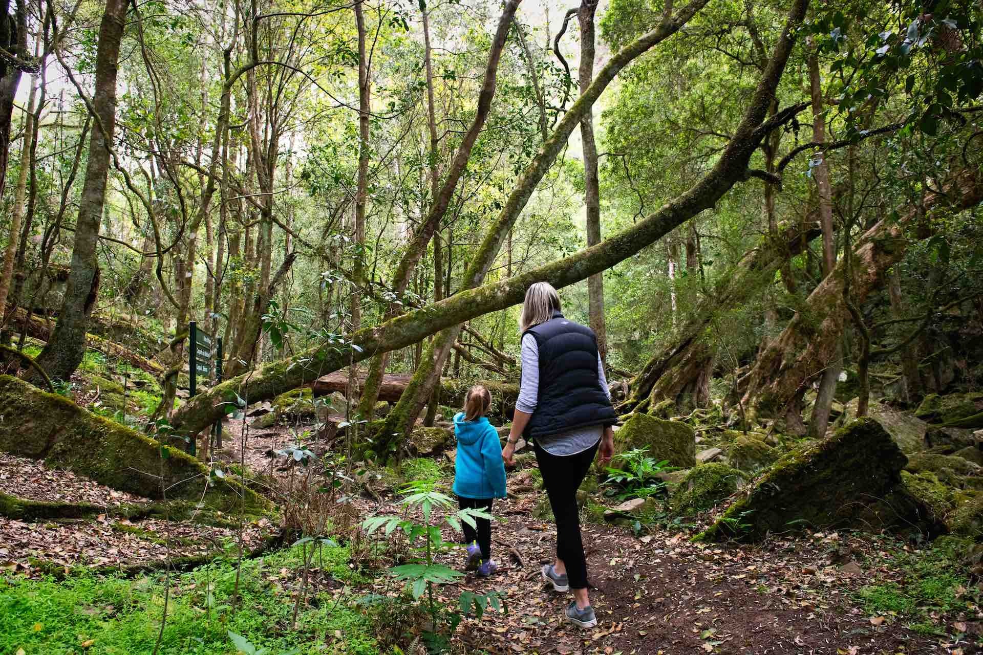 Visit Lesser-Known Parks in Victoria and You Could Win a $3000 Outdoor ...