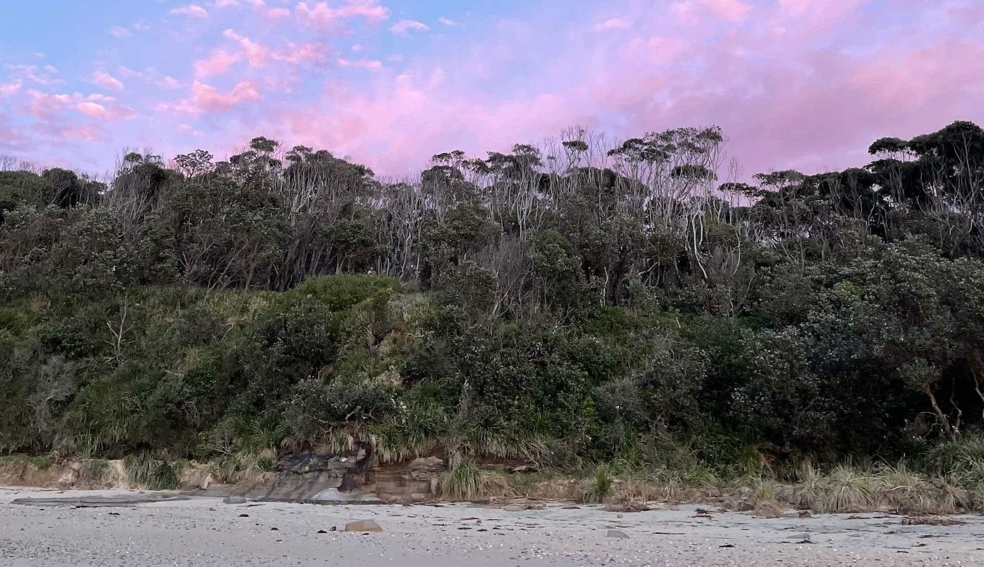 Termeil Point Campground | South Coast, NSW - We Are Explorers