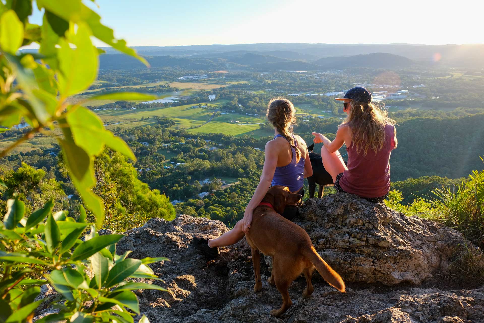 Best 8 Sunshine Coast Hikes | QLD - We Are Explorers