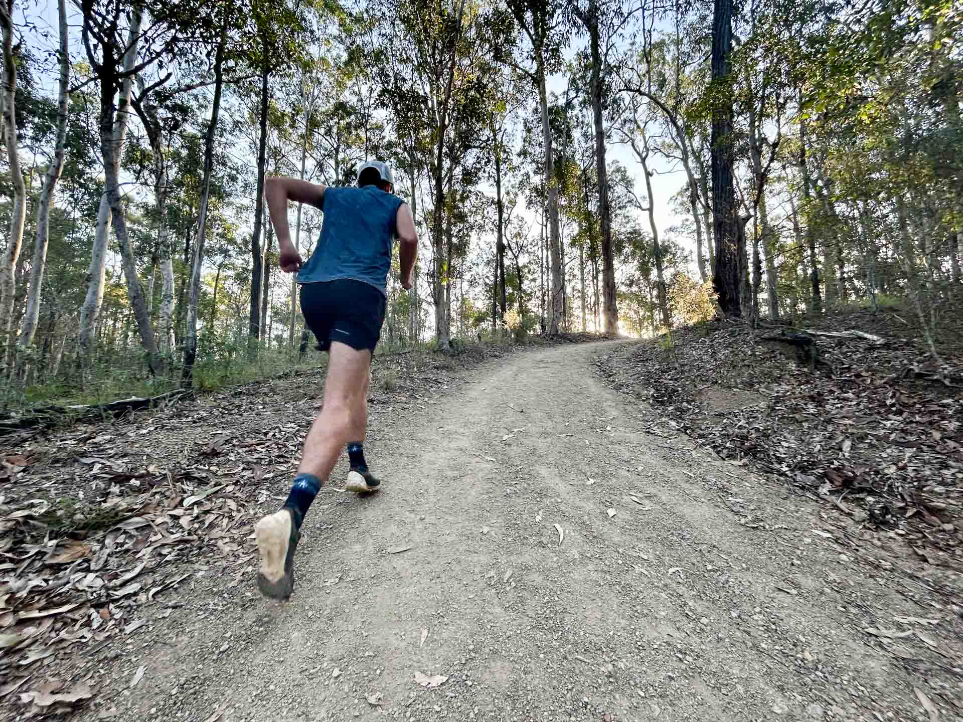 7 Runs in 7 Days: Trail Running in South-East Queensland - We Are Explorers
