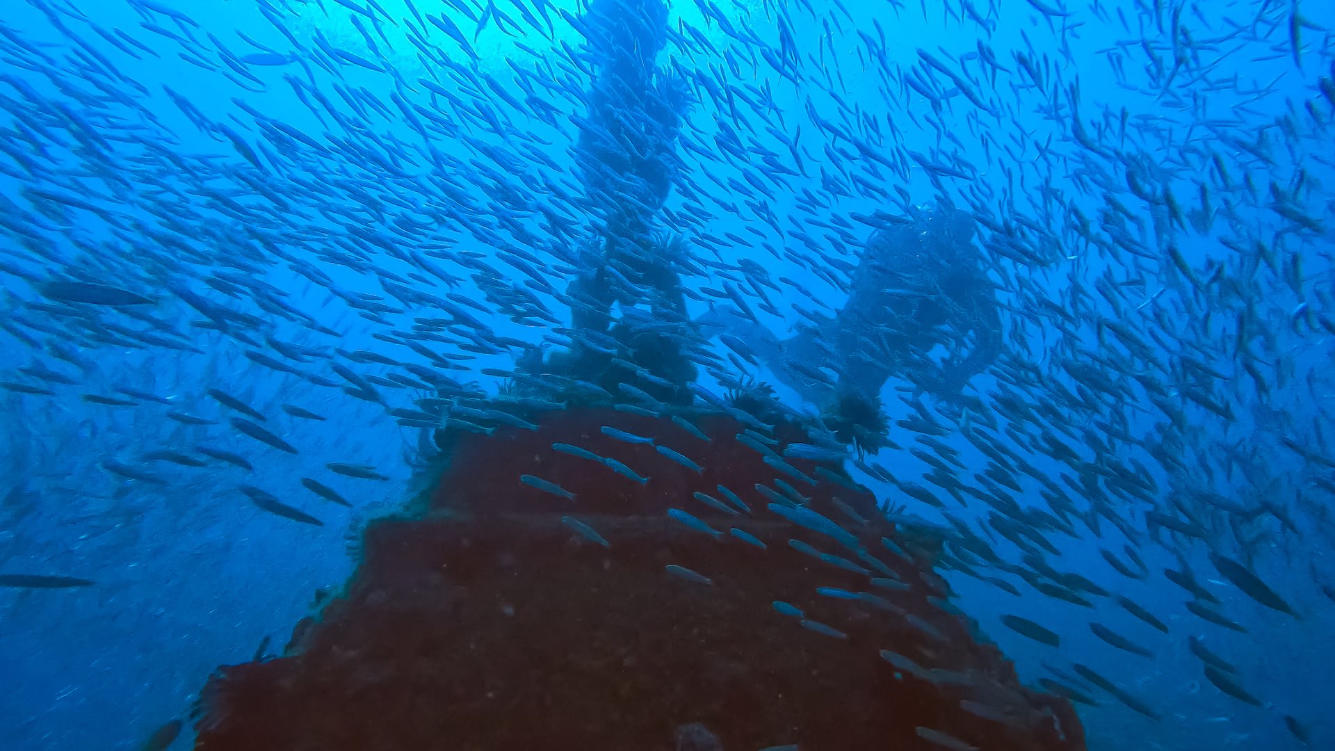 Wonder Reef is the First Buoyant Reef in the World on the Gold Coast ...