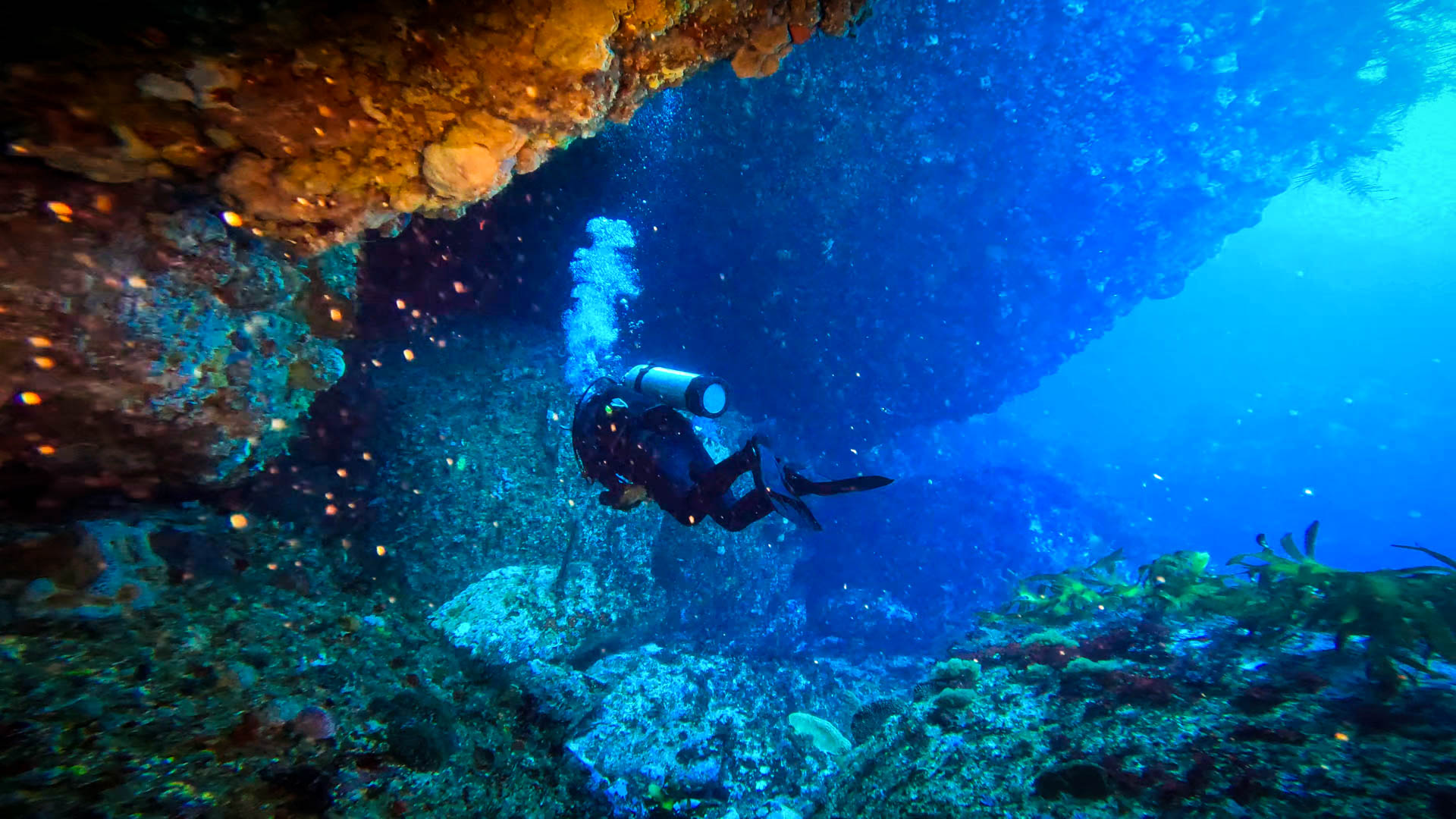 Diving Wilsons Promontory – the Southernmost Part of Australia’s ...
