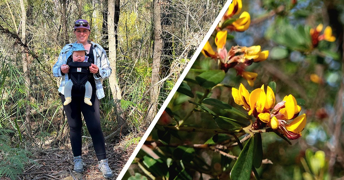 Muogamarra Nature Reserve Guide | Sydney, NSW- We Are Explorers