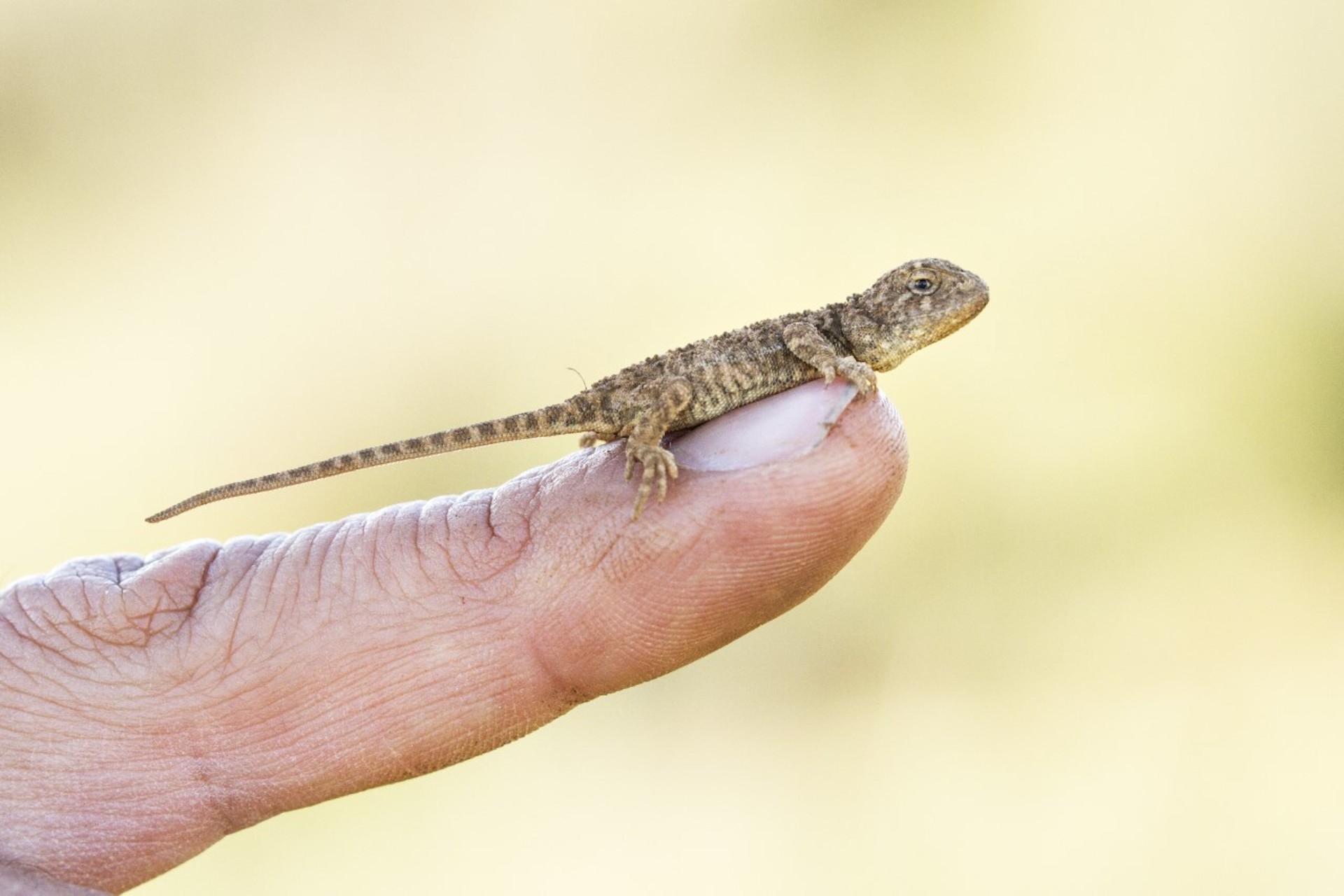 Rediscovering a Species: Meet The Man Who’s Dedicated His Life to ...