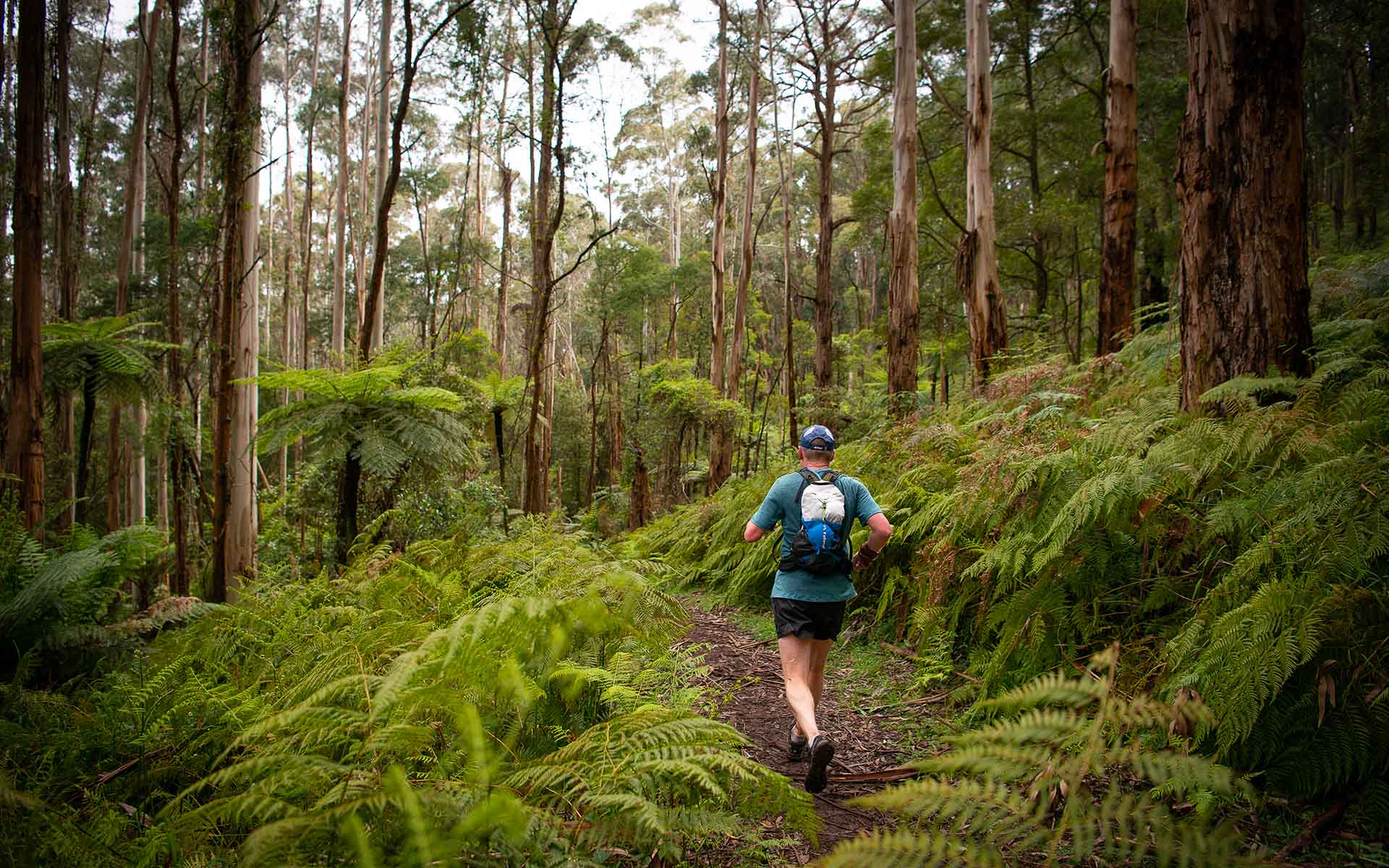 Trail Running Series – Bundoona - We Are Explorers