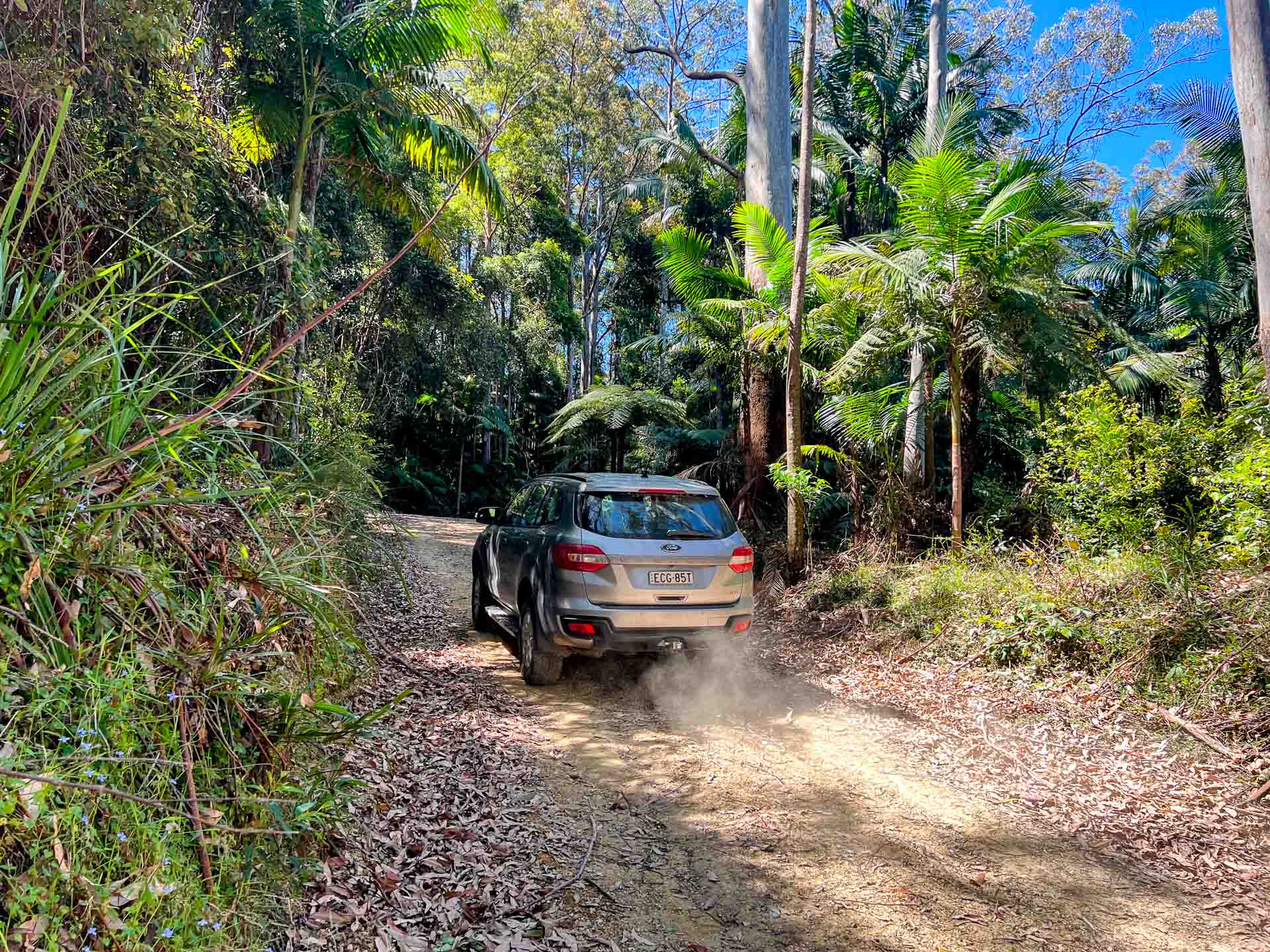 5 Best 4WD Tracks in Northern NSW (2025) - We Are Explorers