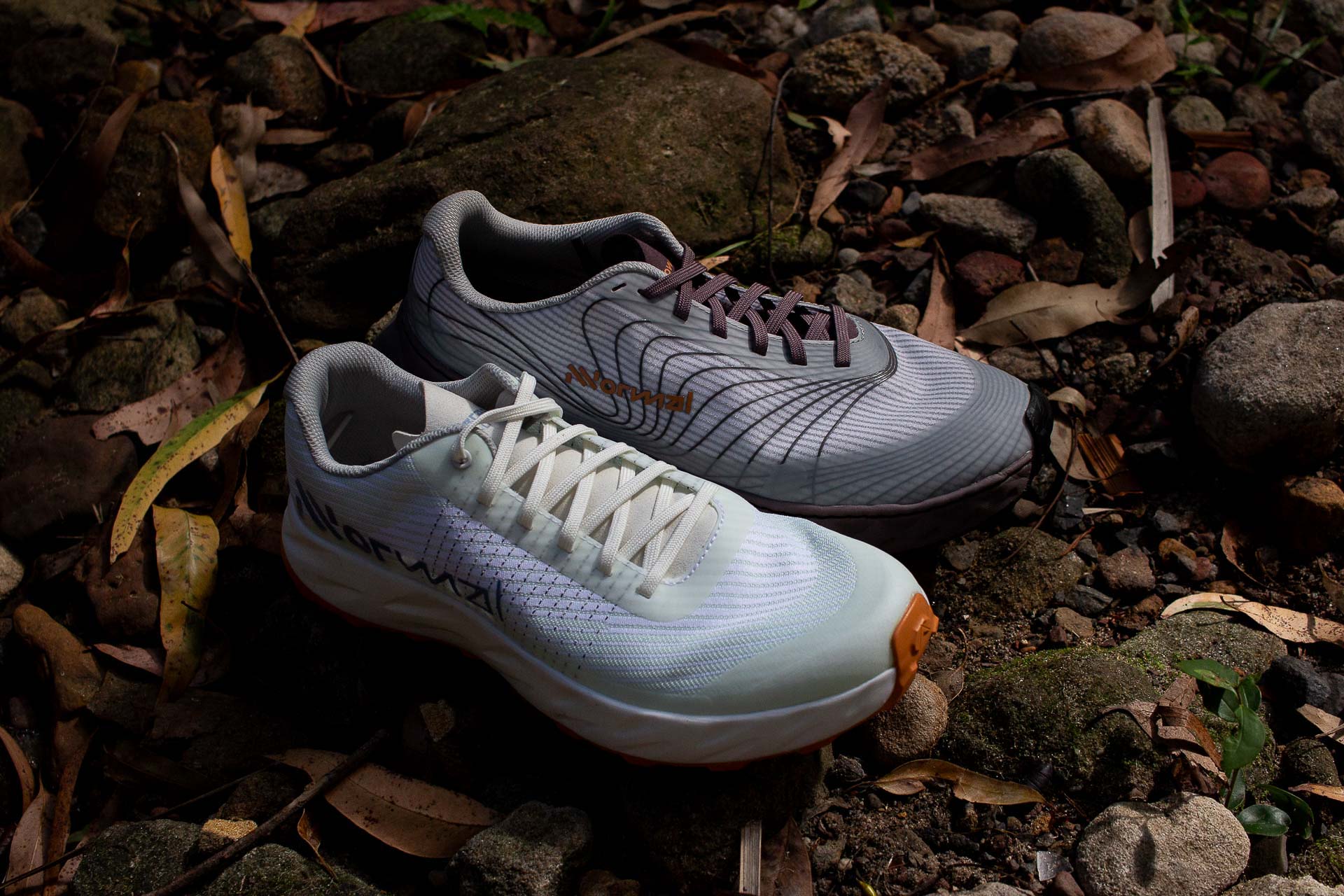 NNormal Kjerag vs NNormal Tomir Trail Runners – Reviewed & Compared ...