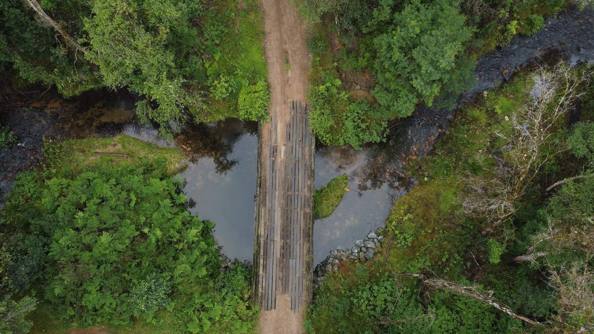 NSW State Forests are Undergoing their Biggest Road Upgrade Ever – We ...