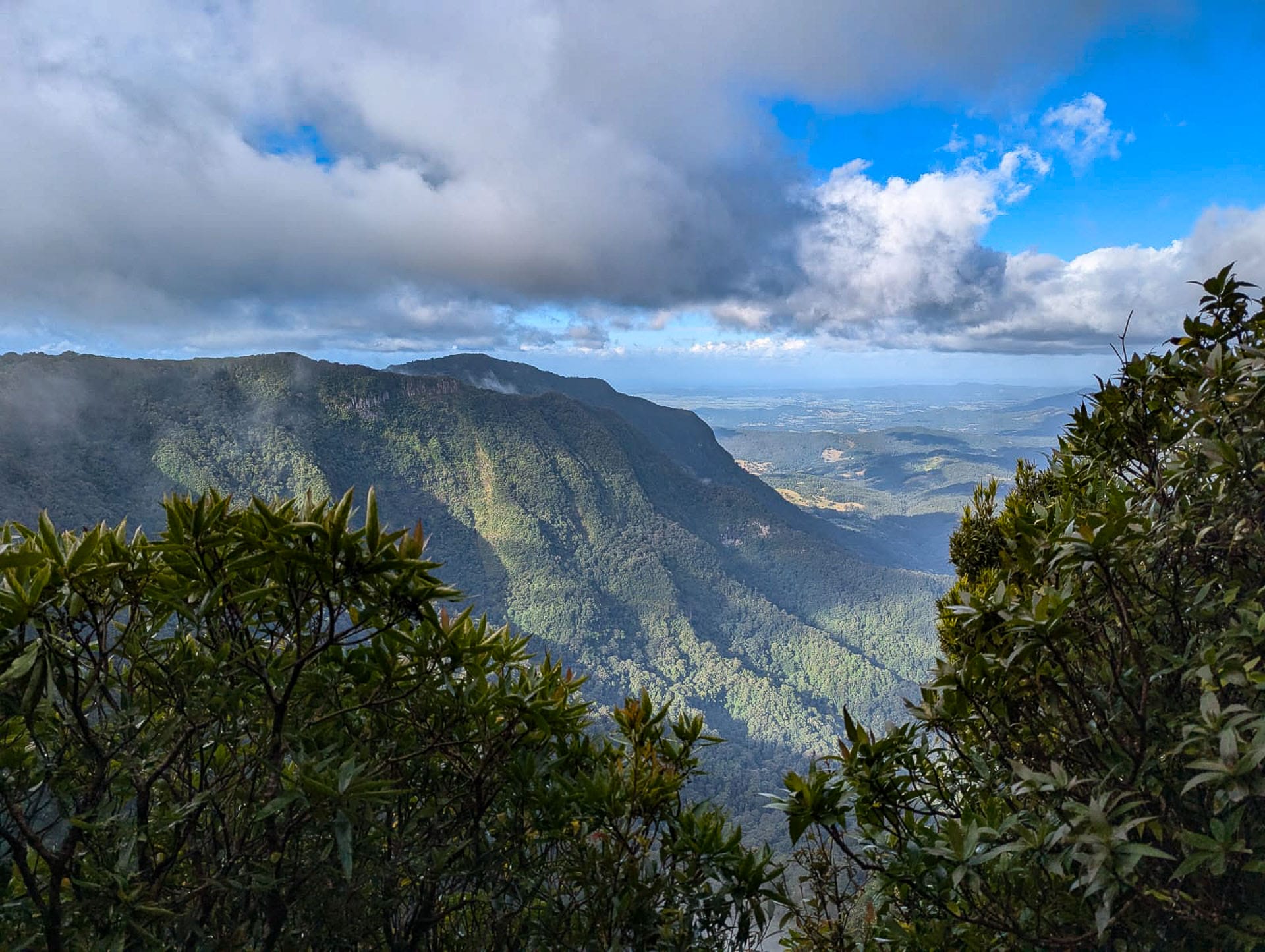 The Border Track Hiking Guide | Lamington National Park | QLD - We Are ...