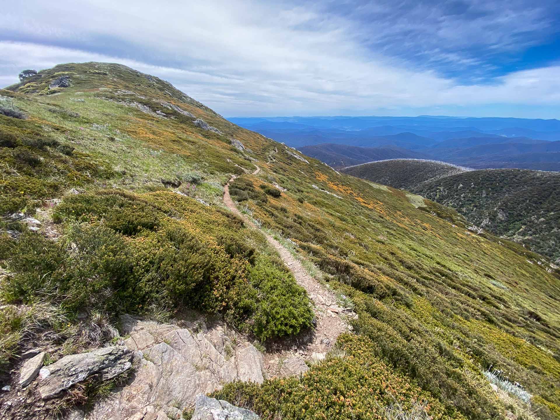 Mind the Snakes: An Irish Hiker's Journey Through Mt Bogong, VIC - We ...