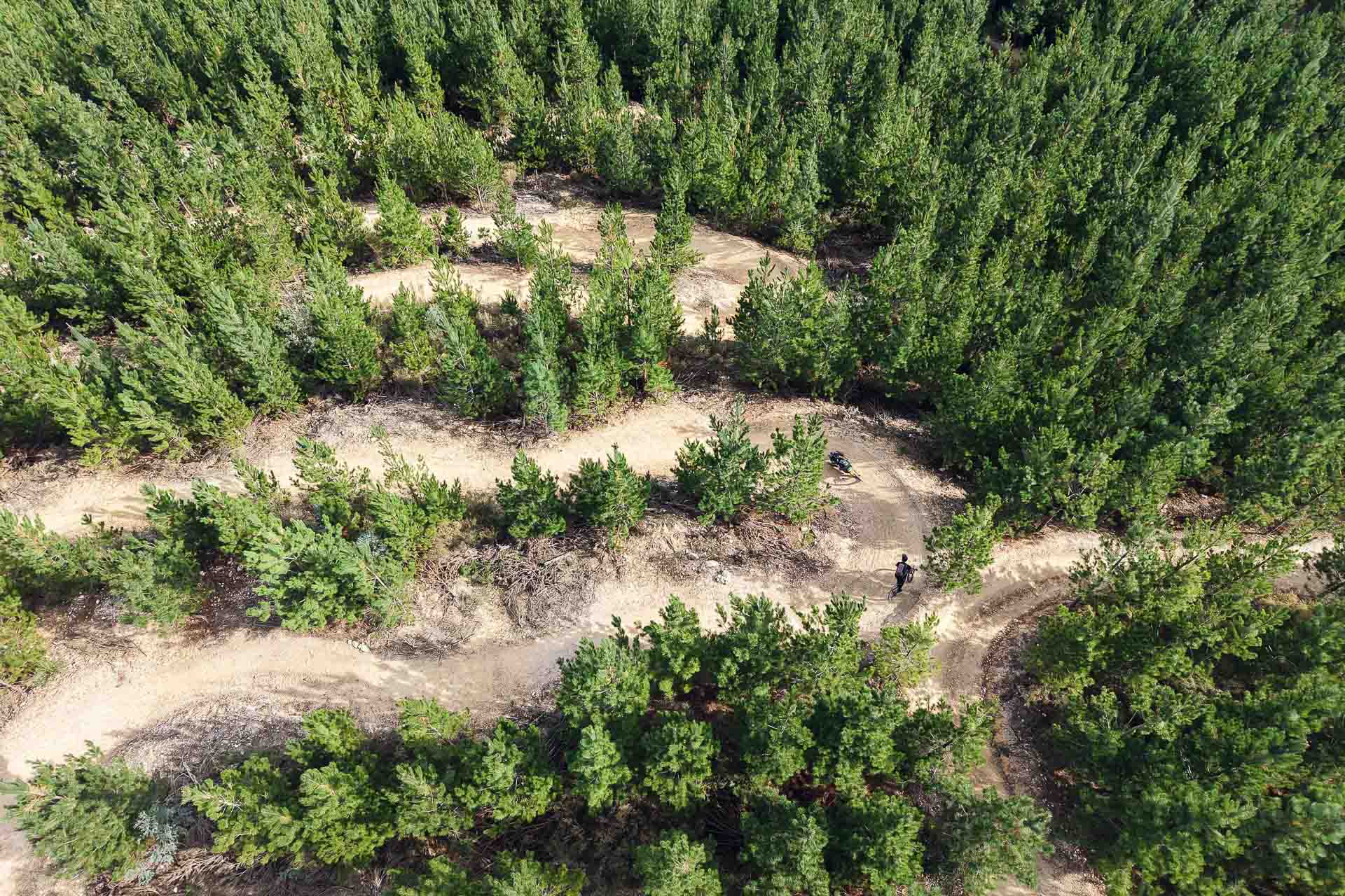 Three Trails in Ballarat That Make Adventure Accessible to Everyone ...