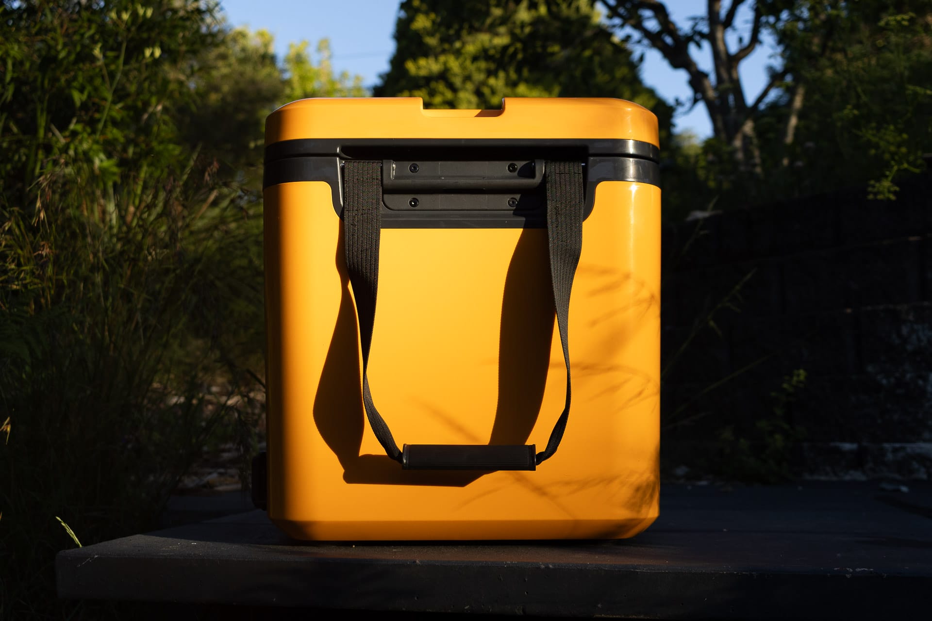 Dometic Recon Hardside Cooler First Look - We Are Explorers