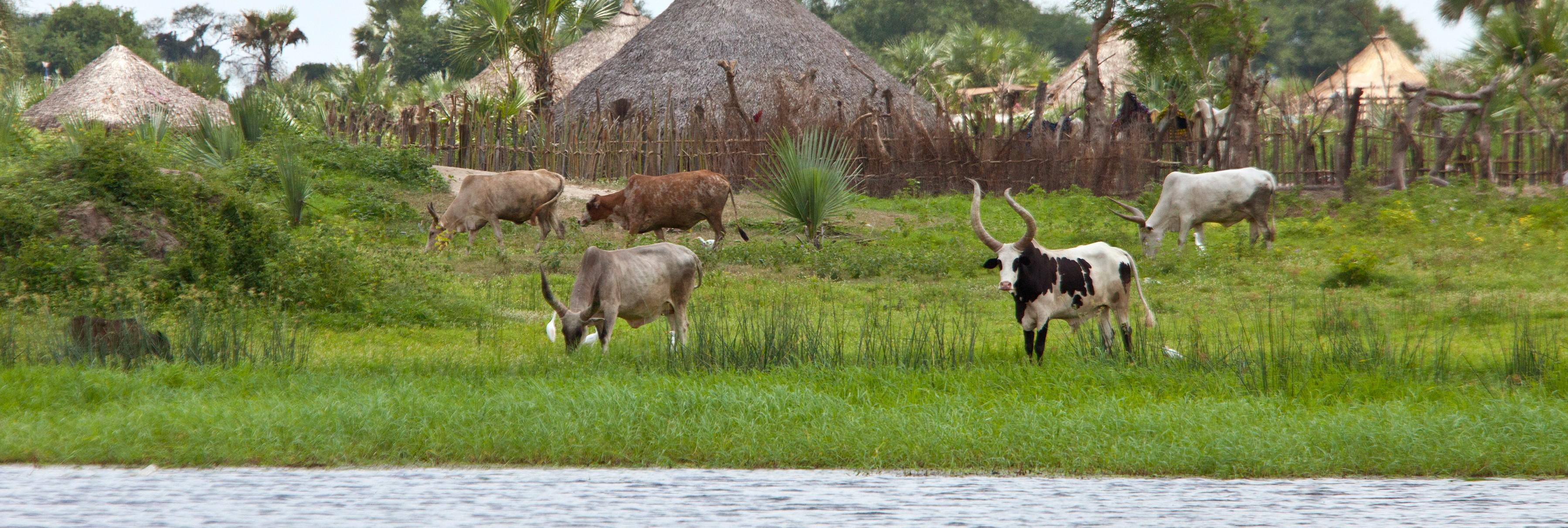 Explore Travel | Your Next Dream Holiday | South Sudan