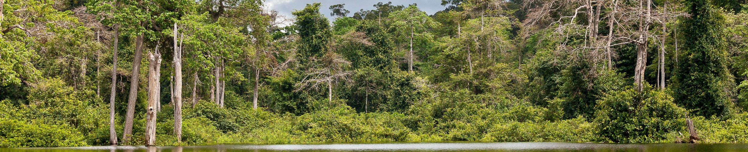 Explore Travel | Your Next Dream Holiday | Gabon