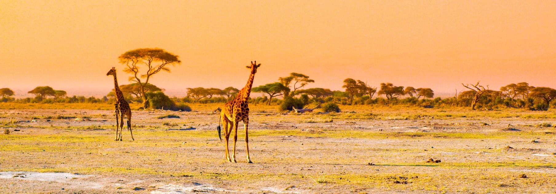 Explore Travel | Your Next Dream Holiday | Kenya