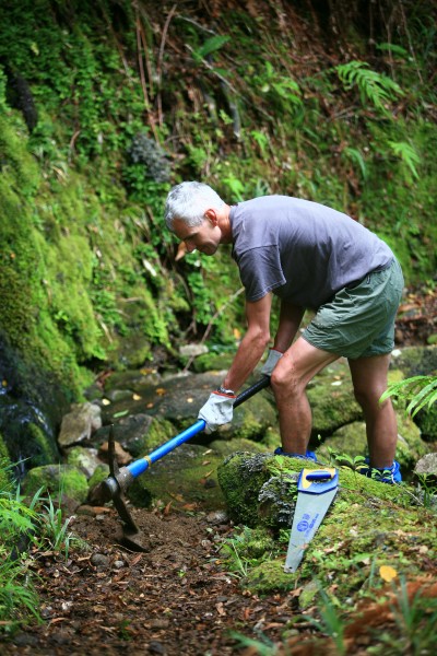 True Grit - Treadlie