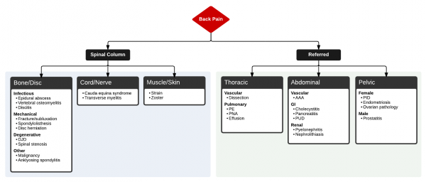 Lower back pain - WikEM