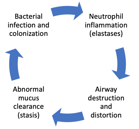 Bronchiectasis - WikEM