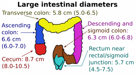 Constipation - WikEM