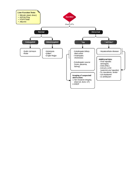 File:Evaluation of Hyperbilirubinemia.png - WikEM
