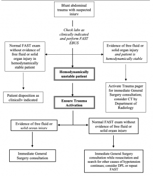 Harbor: ED Bedside Ultrasound Policy and Procedure Guidelines - WikEM