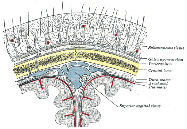 Scalp laceration - WikEM