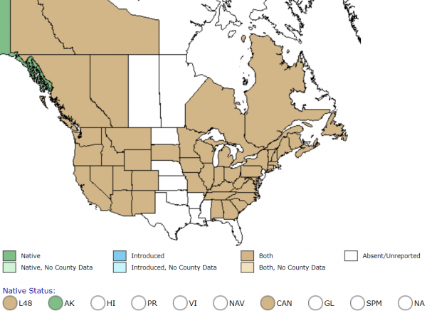 Aconitum toxicity - WikEM