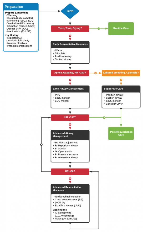 Newborn resuscitation - WikEM