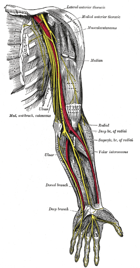 Peripheral nerve syndromes - WikEM