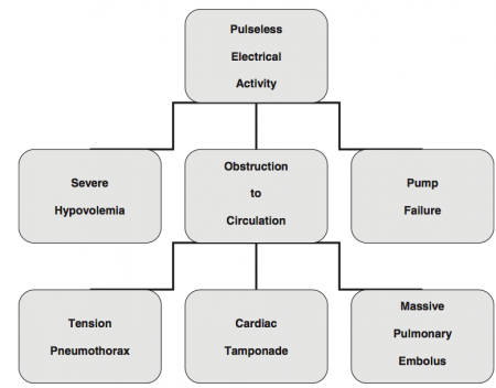Pulseless arrest - WikEM