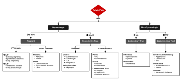 Endometriosis - WikEM