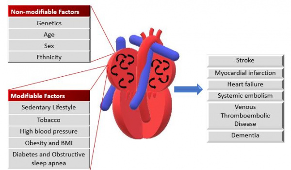 Atrial fibrillation (main) - WikEM