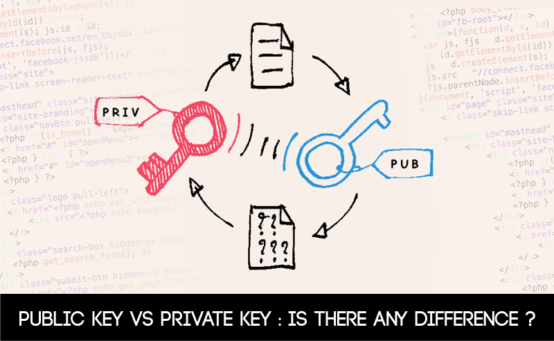 Difference Between Public Key And Private Key | Public Key Generator