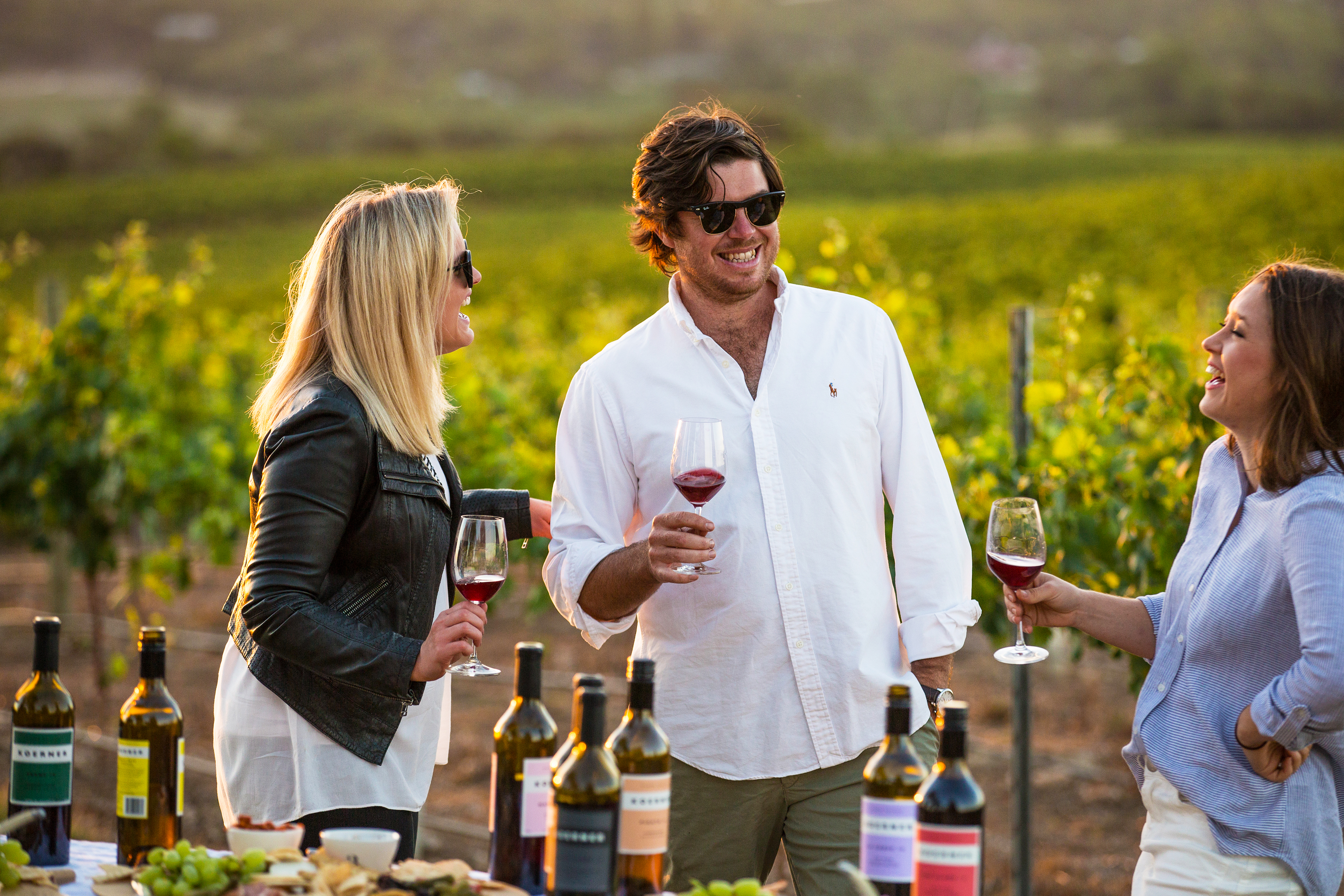 David-Koerner-Koerner-Wines- hospitality | Magazine