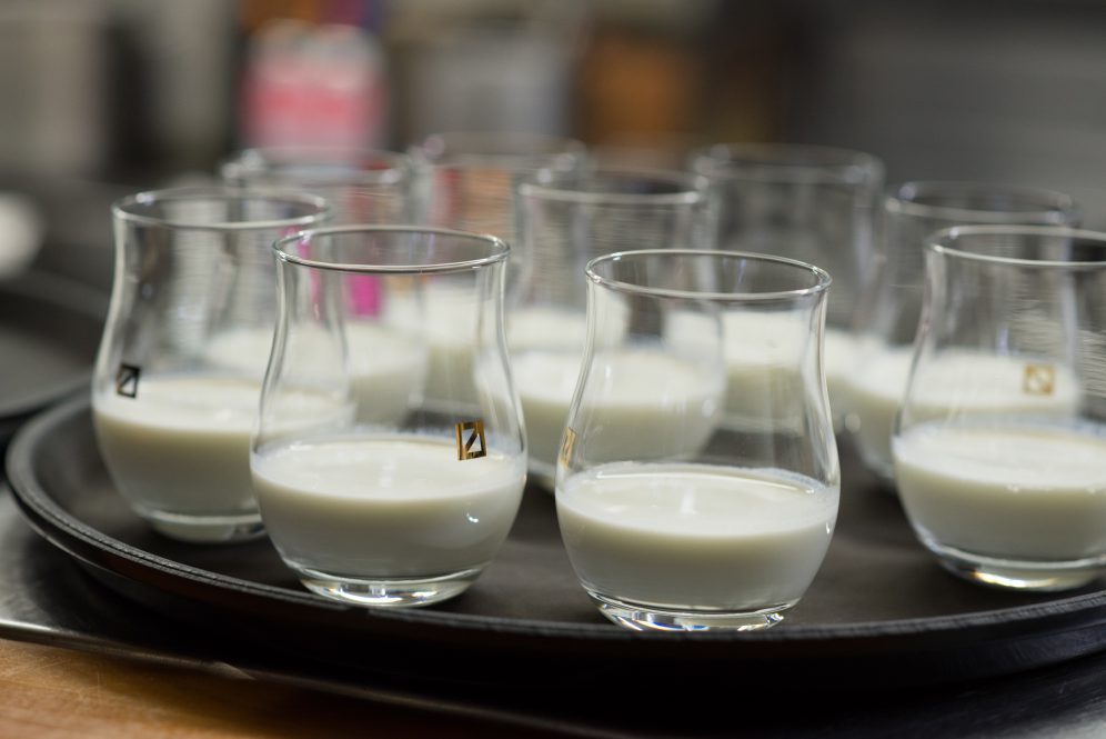 All about deer milk - hospitality | Magazine