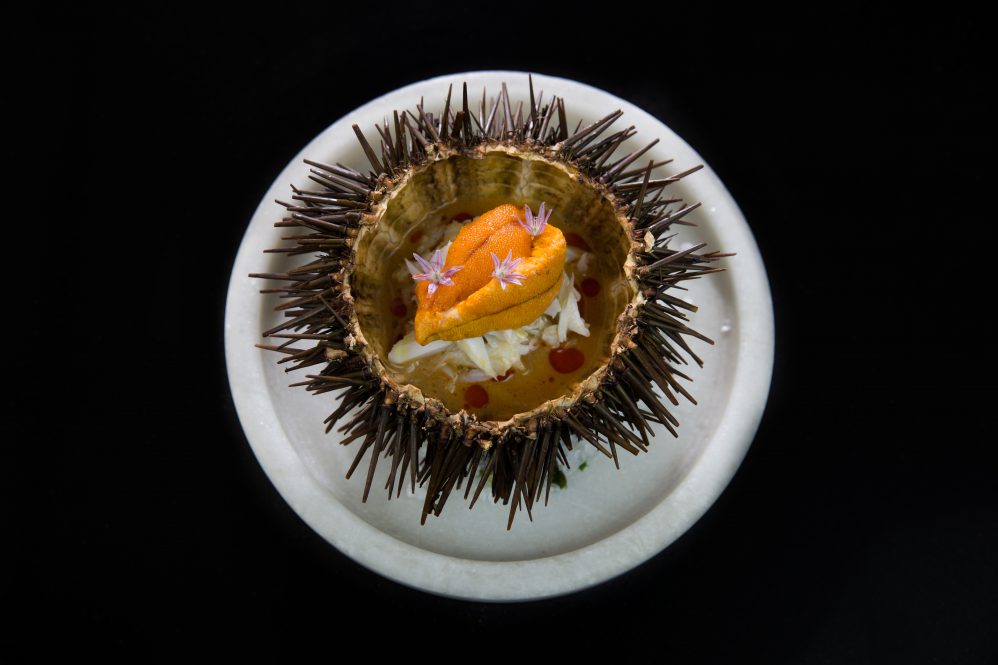 All about sea urchin - hospitality | Magazine