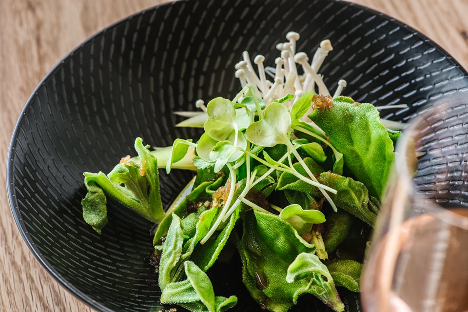 Crystal-ice-plant-salad-with-cucumber-enoki-mushroom-and-black-vinegar ...