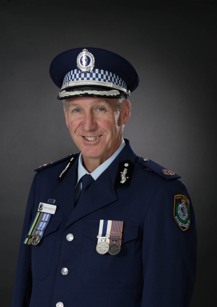 The impact of proactive policing practices in combating domestic ...