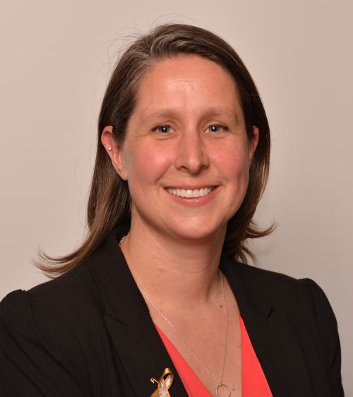 Human factors in a naval control room: A quick catch up with DSTO’s ...