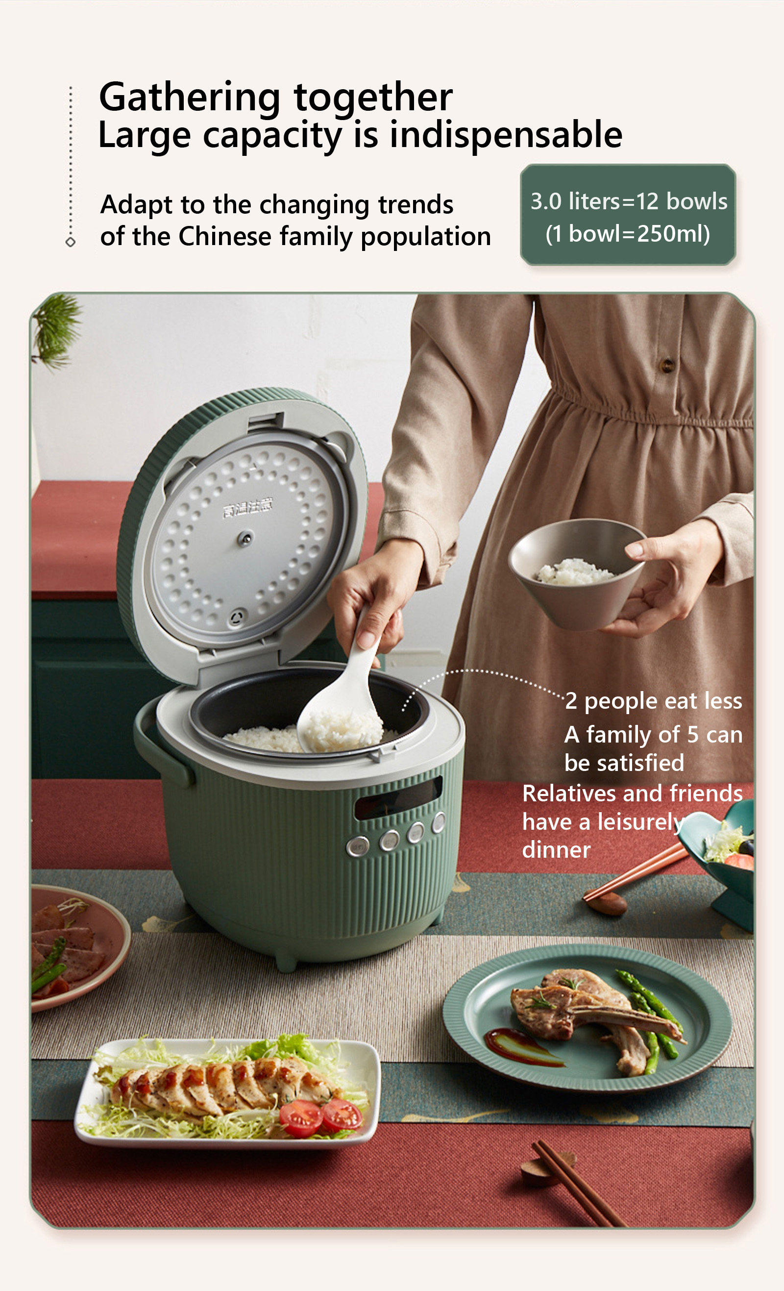 Large Rice Cookers – ottostore